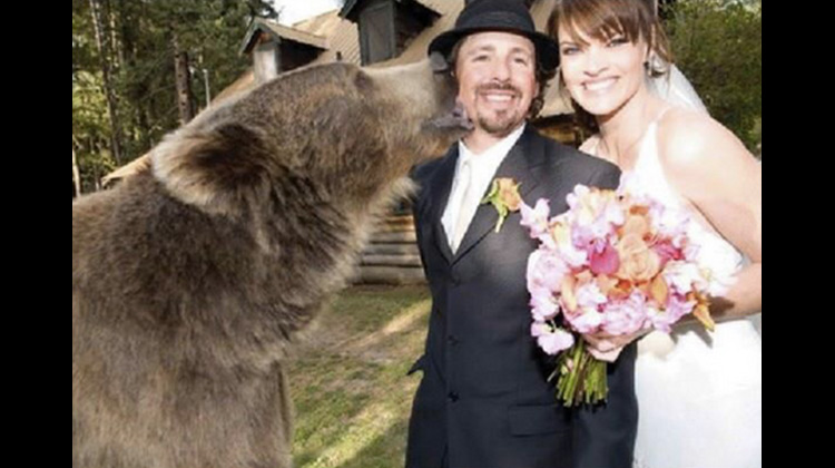 This Guy’s Best Man Is An 800 lb Grizzly, But The Story Before “I Do ...