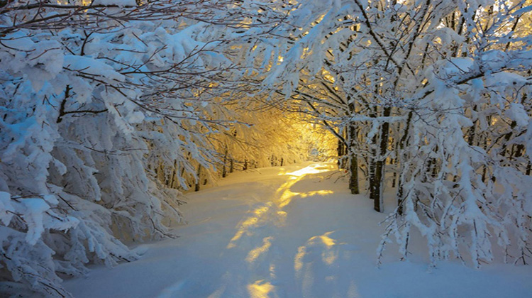 20 Breathtaking Places Of Winter Solace – Page 5 of 20 – InspireMore