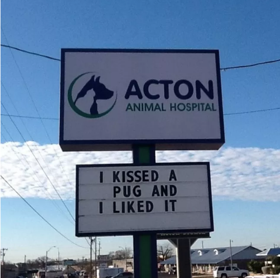 20 Hilarious Vet Signs That Will Have You Howling With Laughter ...
