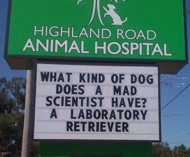 20 Hilarious Vet Signs That Will Have You Howling With Laughter ...