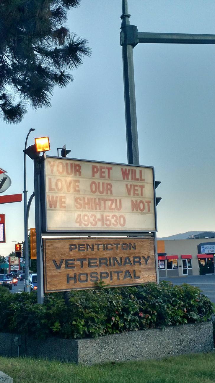 20 Hilarious Vet Signs That Will Have You Howling With Laughter ...