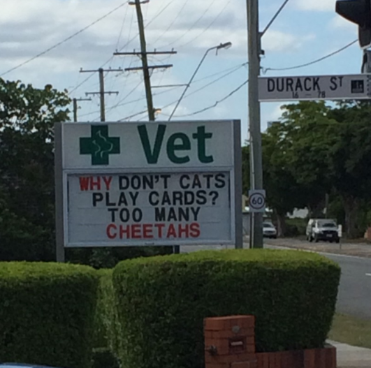 20 Hilarious Vet Signs That Will Have You Howling With Laughter ...