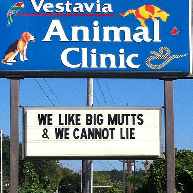 20 Hilarious Vet Signs That Will Have You Howling With Laughter ...