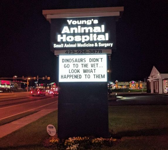20 Hilarious Vet Signs That Will Have You Howling With Laughter ...