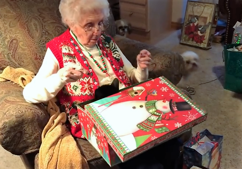 Grandma's Reaction To Christmas Cat Is Too Sweet - InspireMore