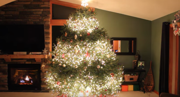 Family Sets Christmas Tree Lights To Music - InspireMore