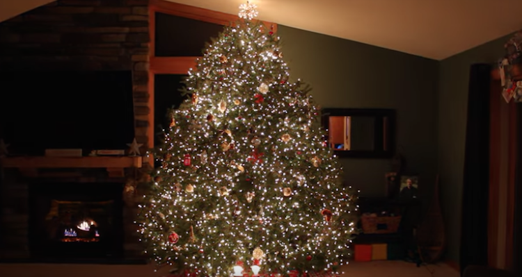 Family Sets Christmas Tree Lights To Music - InspireMore