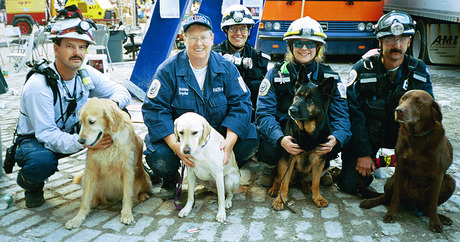 25 Heroic Dogs Of The Past 100 Years. -InspireMore.com