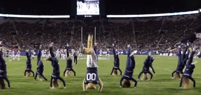 BYU Mascot Cosmo Cougar Dances With Cougarettes– InspireMore