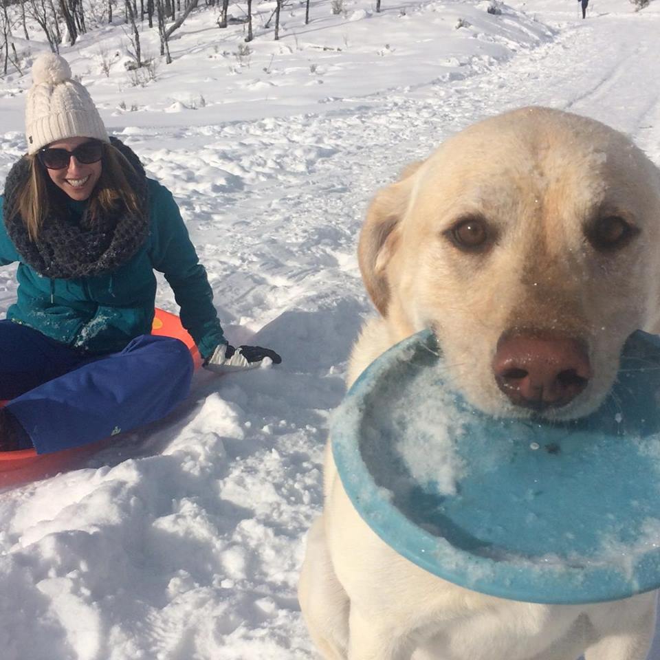 Yellow Lab Steals Spotlight At Mom & Dad's Wedding - InspireMore
