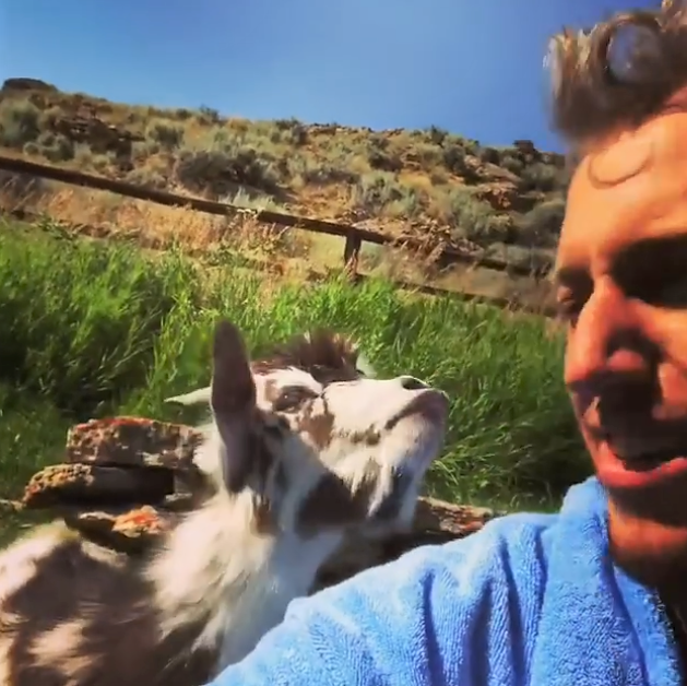 Cute Man Has Silly Argument With Sassy Goat - InspireMore