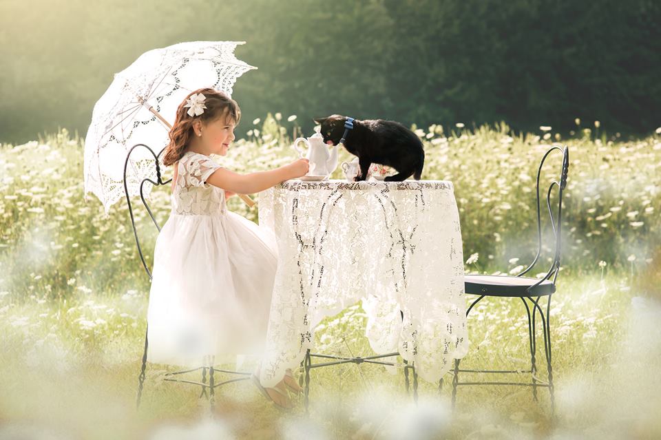 Michigan Photographer Features Tiny Kitten In Newborn Shoot - InspireMore