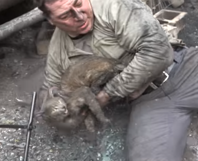Shannon Jay & Douglas Thron Save Cat Charred In Camp Fire — InspireMore