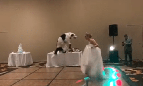 Famous AGT Dog Trainer Shares First Dance With Dog - InspireMore