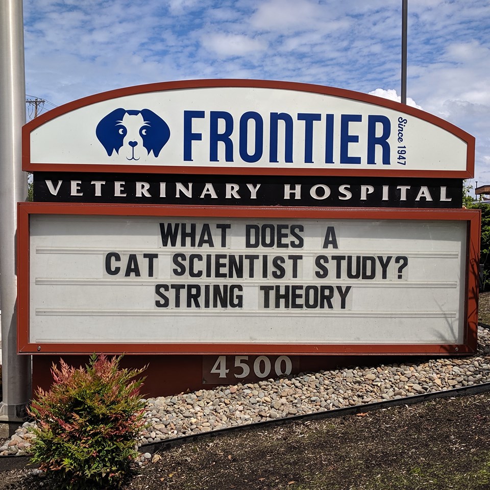 20 Hilarious Vet Signs That Every Cat Lover Will Understand - InspireMore