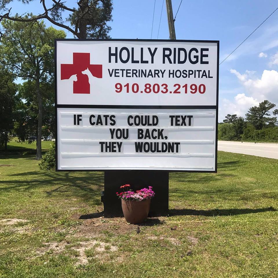 20 Hilarious Vet Signs That Every Cat Lover Will Understand - InspireMore
