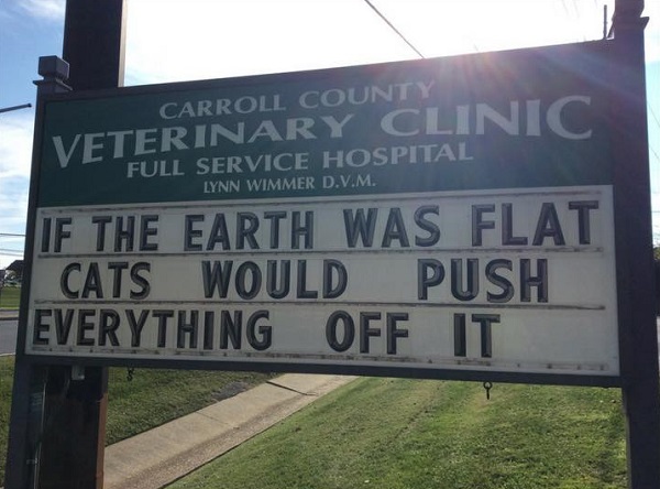 20 Hilarious Vet Signs That Every Cat Lover Will Understand - InspireMore