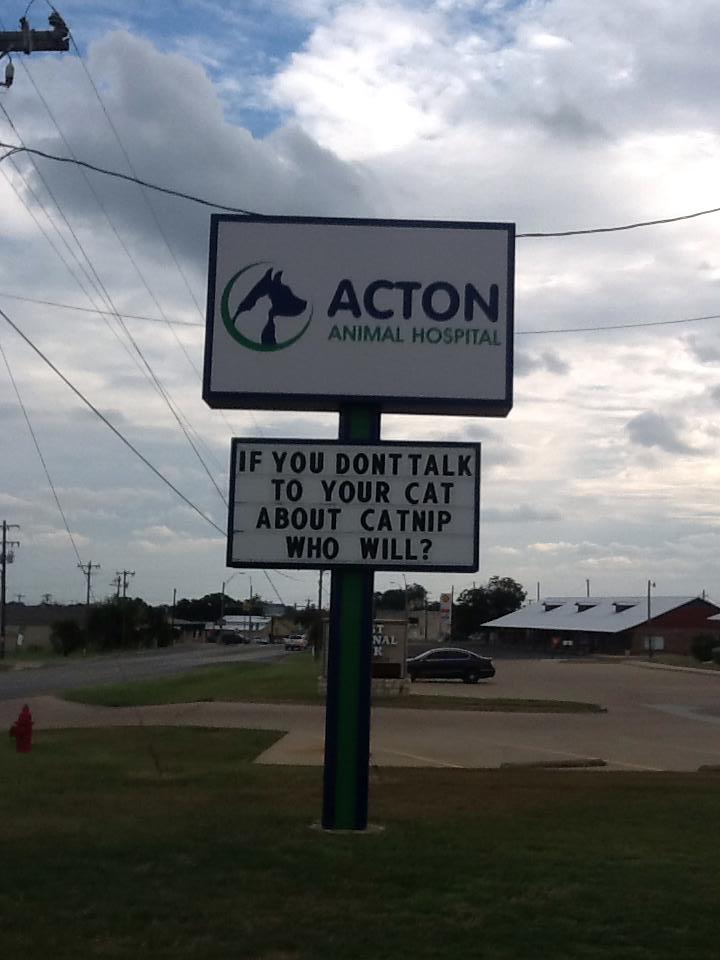 20 Hilarious Vet Signs That Every Cat Lover Will Understand - InspireMore