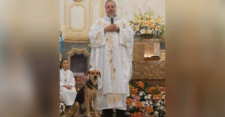 Priest Pulls Stray Dogs From Streets And Finds Them Homes At Mass ...