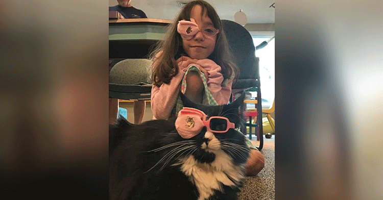 Truffles The Cat Is Teaching Self-Conscious Kids That Glasses Aren't So ...