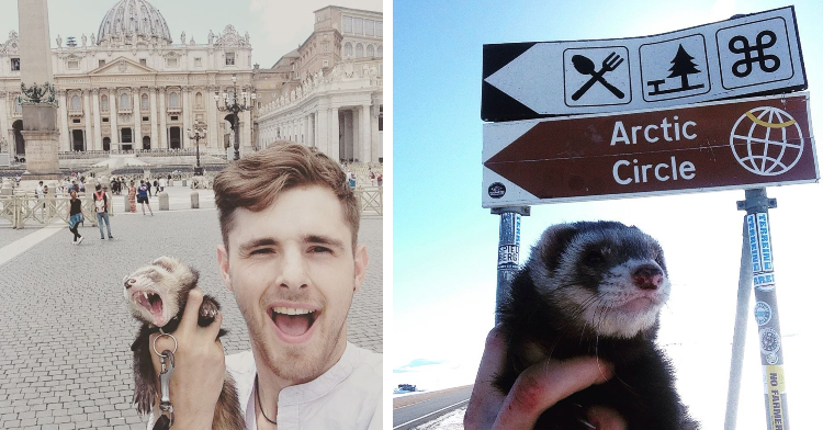 Charlie Hammerton Travels World With Ferret. -InspireMore