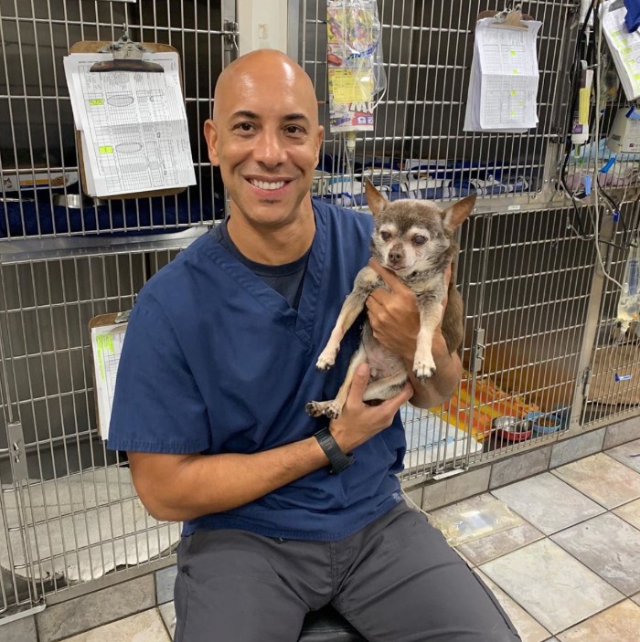 Veterinarian Helps Care For Homeless Pets In Southern California ...