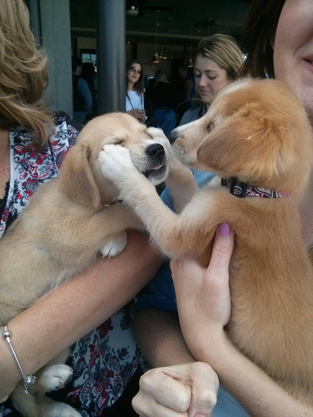 21 Animals With Adorable Reactions To Trying Something For 1st Time ...