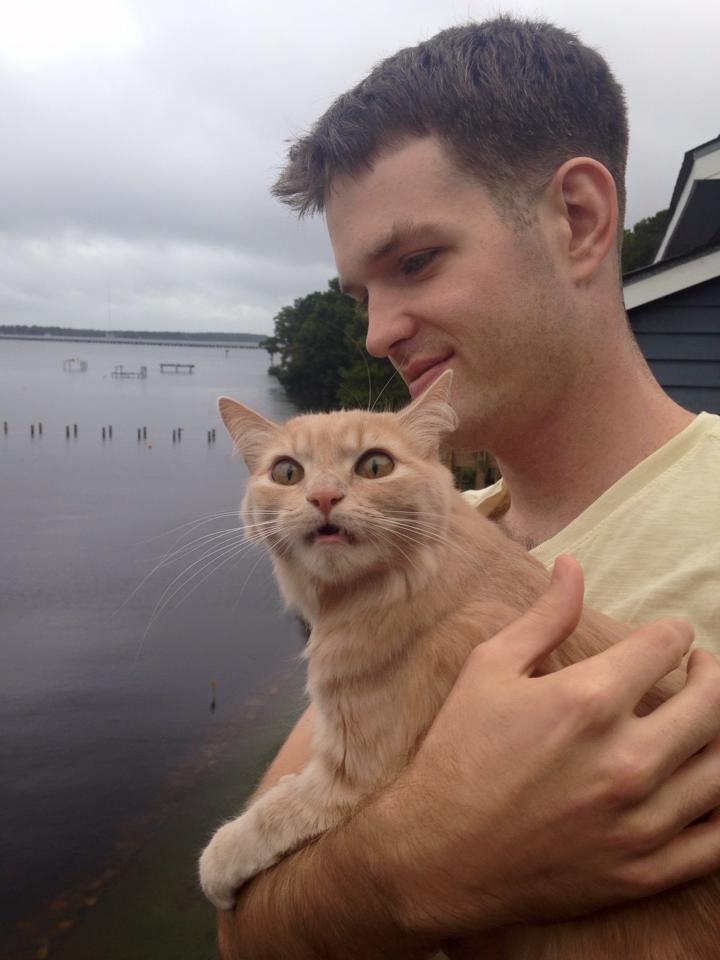 21 Animals With Adorable Reactions To Trying Something For 1st Time ...
