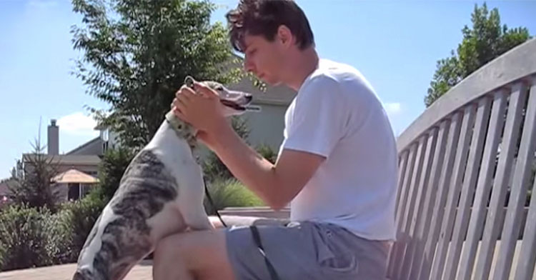 “It Was Love At First Sight.” Dog Sitter Sends Owners Hilarious Video ...