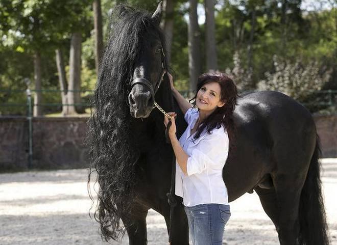 Meet Frederik The Great, “The World’s Most Handsome Horse.” – InspireMore