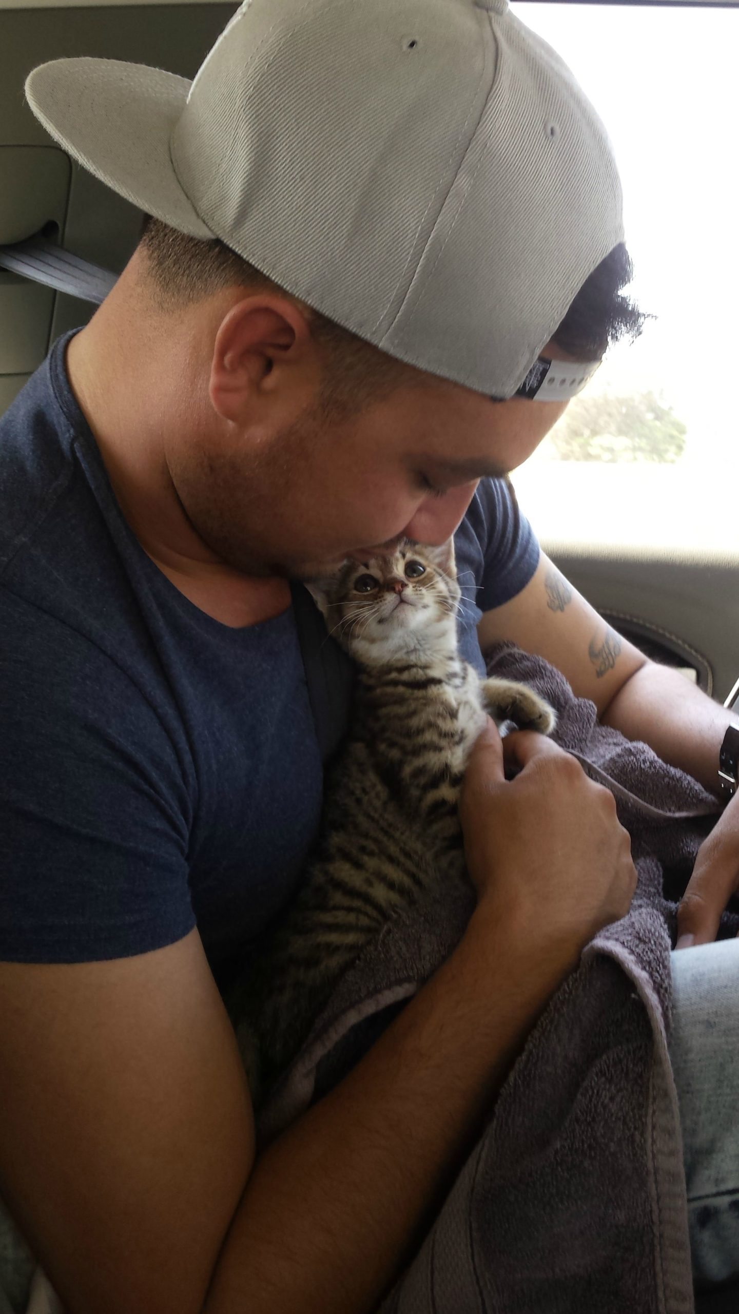 21 Pets That Love Their Humans So Much They Can't Stop Staring At Them ...