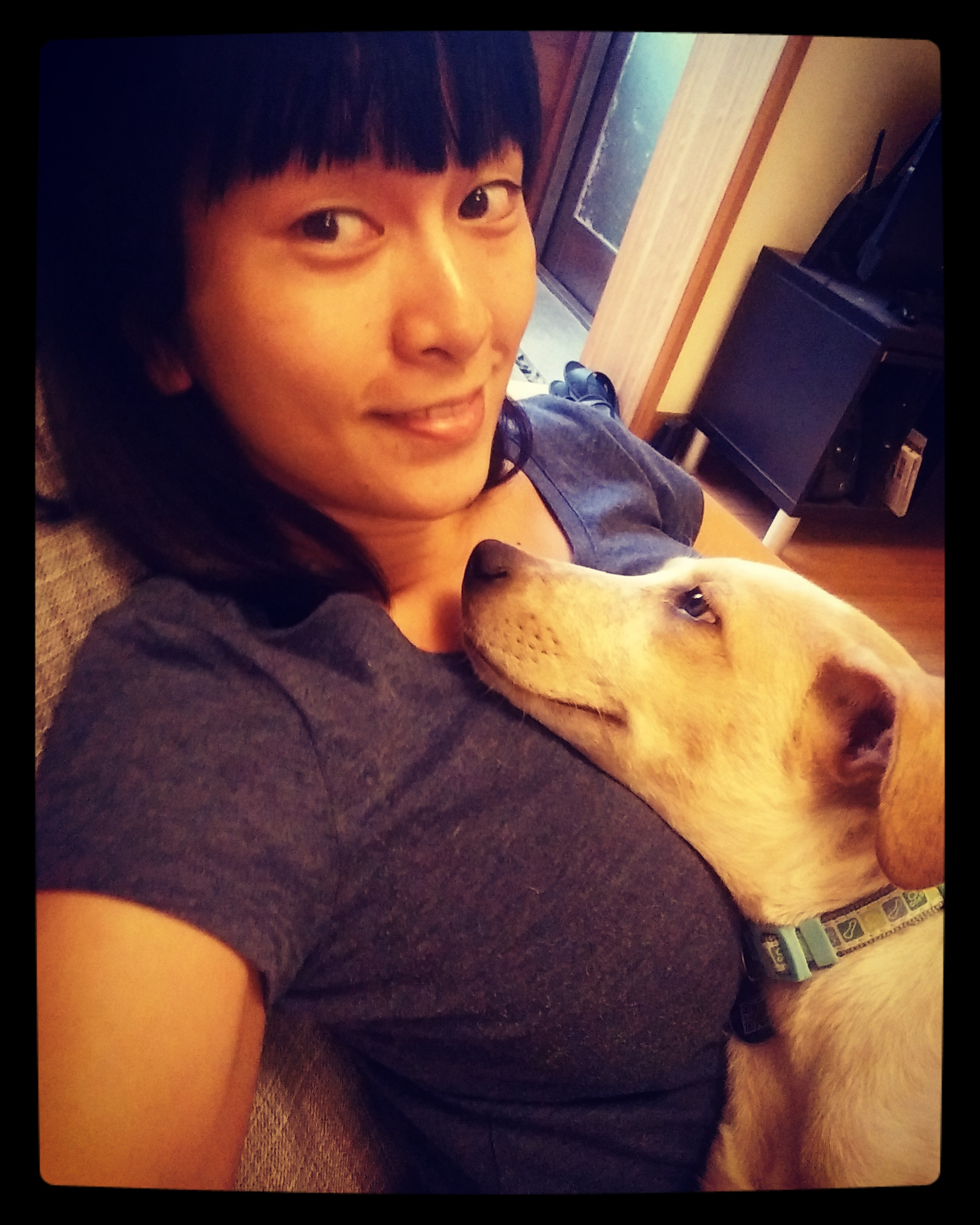 21 Pets That Love Their Humans So Much They Can't Stop Staring At Them ...