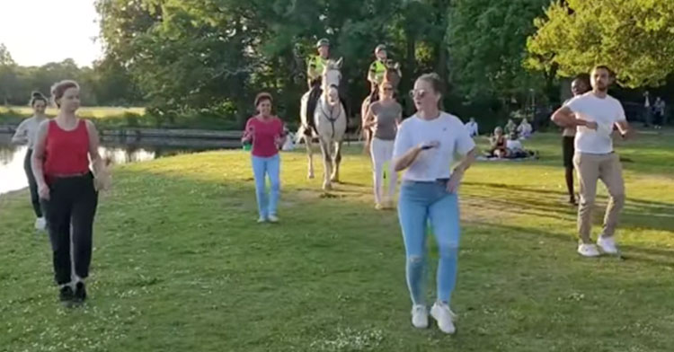 Police Horses Crash Socially-Distant Salsa Lesson In Adorable Video ...