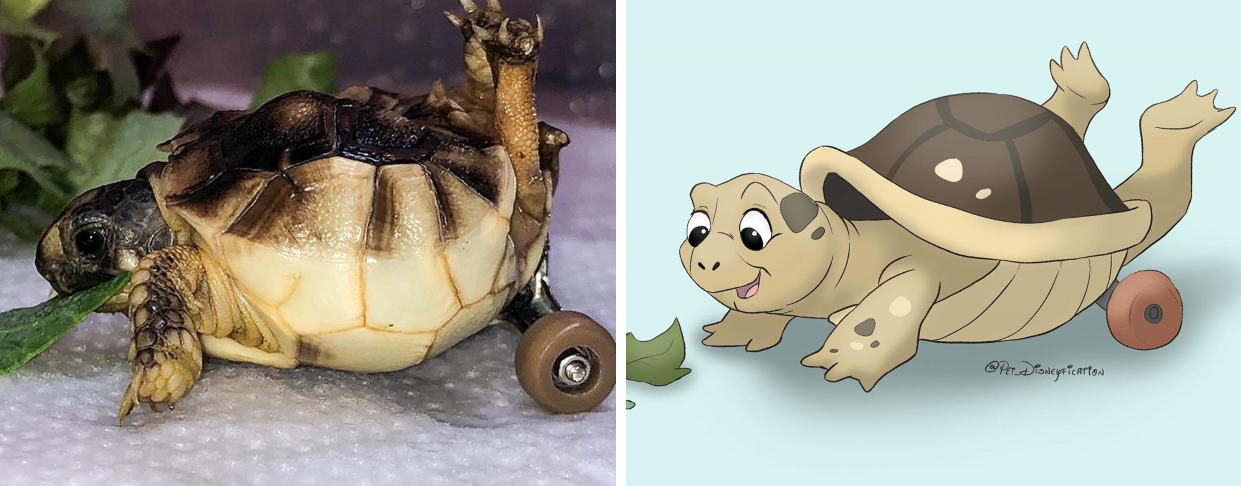 Artist “Disneyfies” Fans’ Pets In Adorable Illustrations. – InspireMore