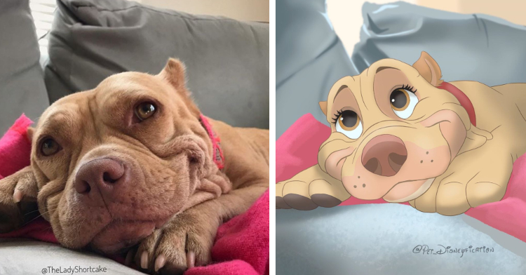Artist “Disneyfies” Fans’ Pets In Adorable Illustrations. – InspireMore