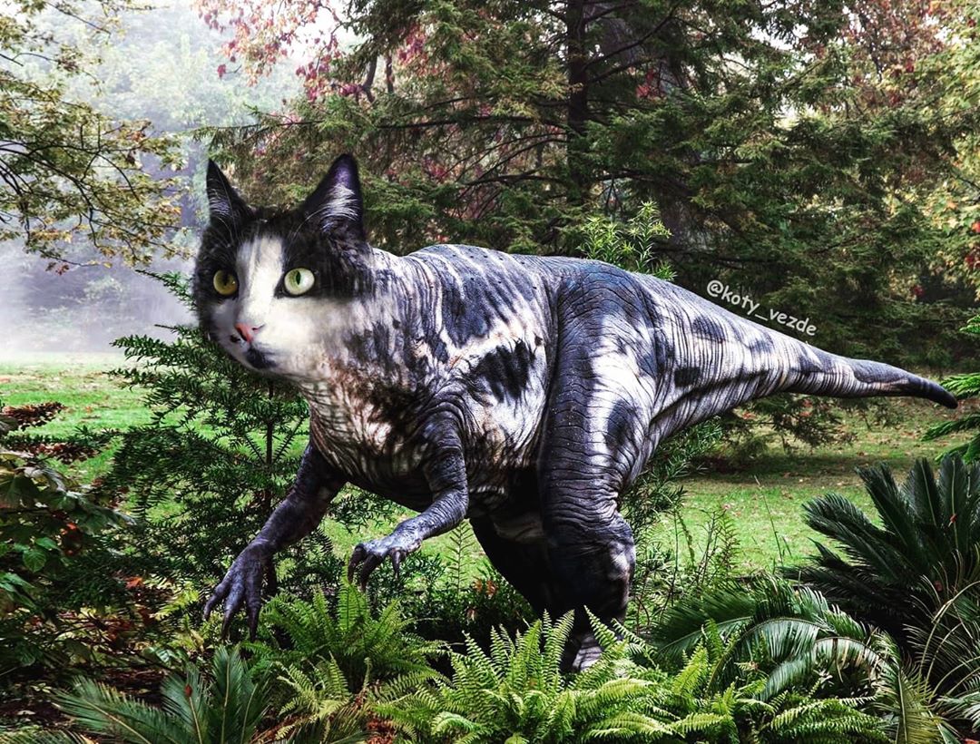 15 Quirky Cat Mash-Ups That Will Have You Laughing Out Loud – InspireMore