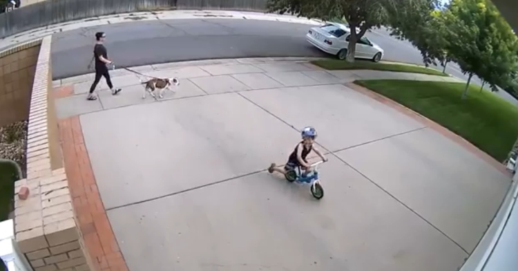 Neighbor "Deals" With Kids Playing On His Driveway In The Cutest Way ...