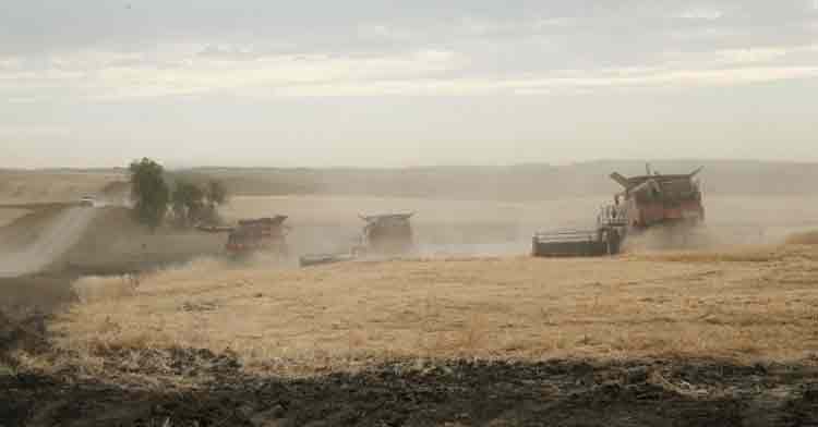 40 Farmers Rally Around Hospitalized Neighbor And Harvest 1,000 Acres ...