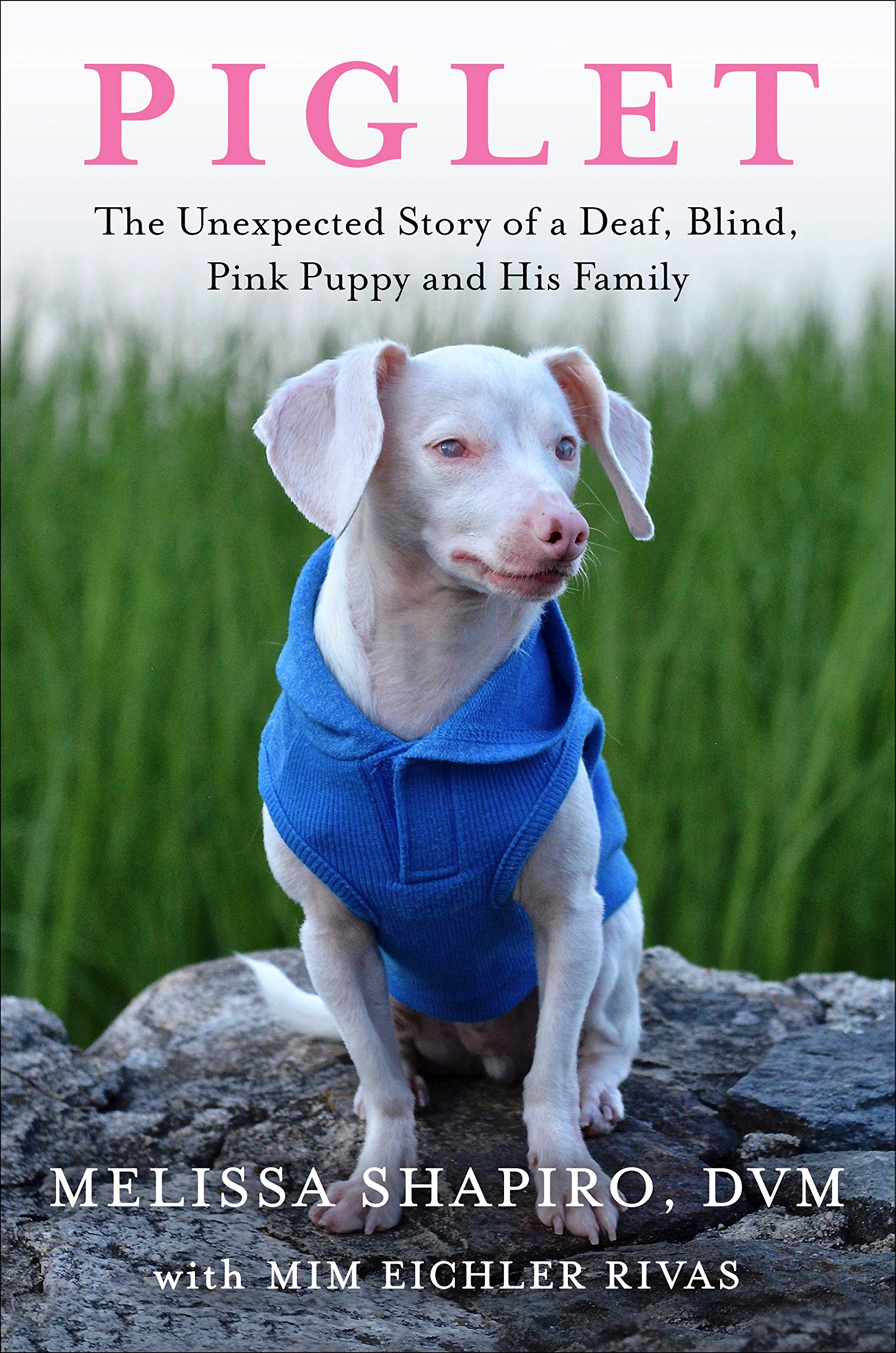 Meet Piglet, The Blind, Deaf Dog Who's Inspiring Children To Think ...