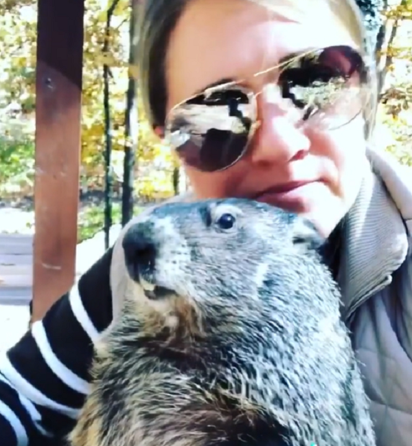 Baby Groundhog Adopts Human Who Rescued Her From Busy Road. – InspireMore