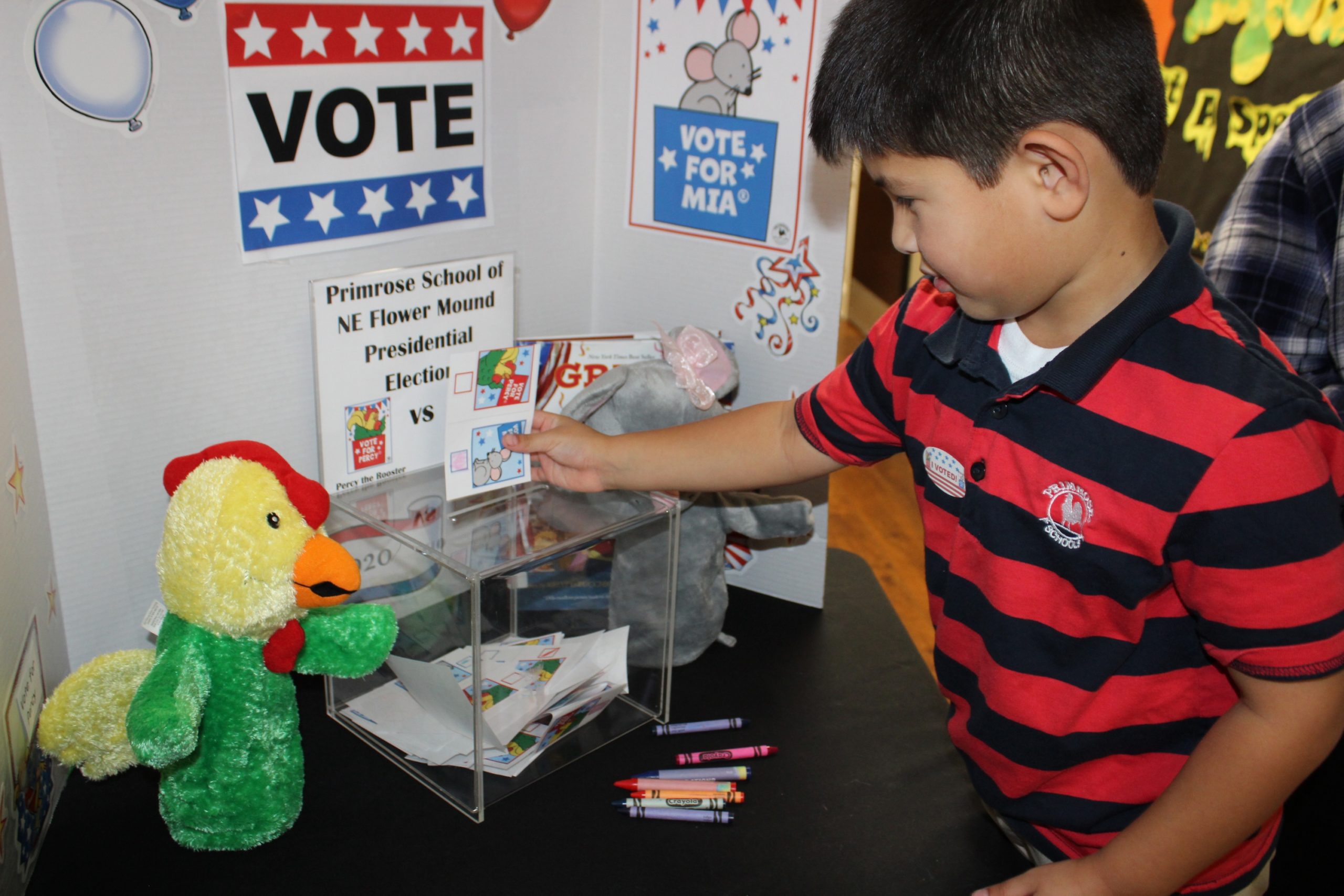 Primrose Preschool In Flower Mound | Best Flower Site