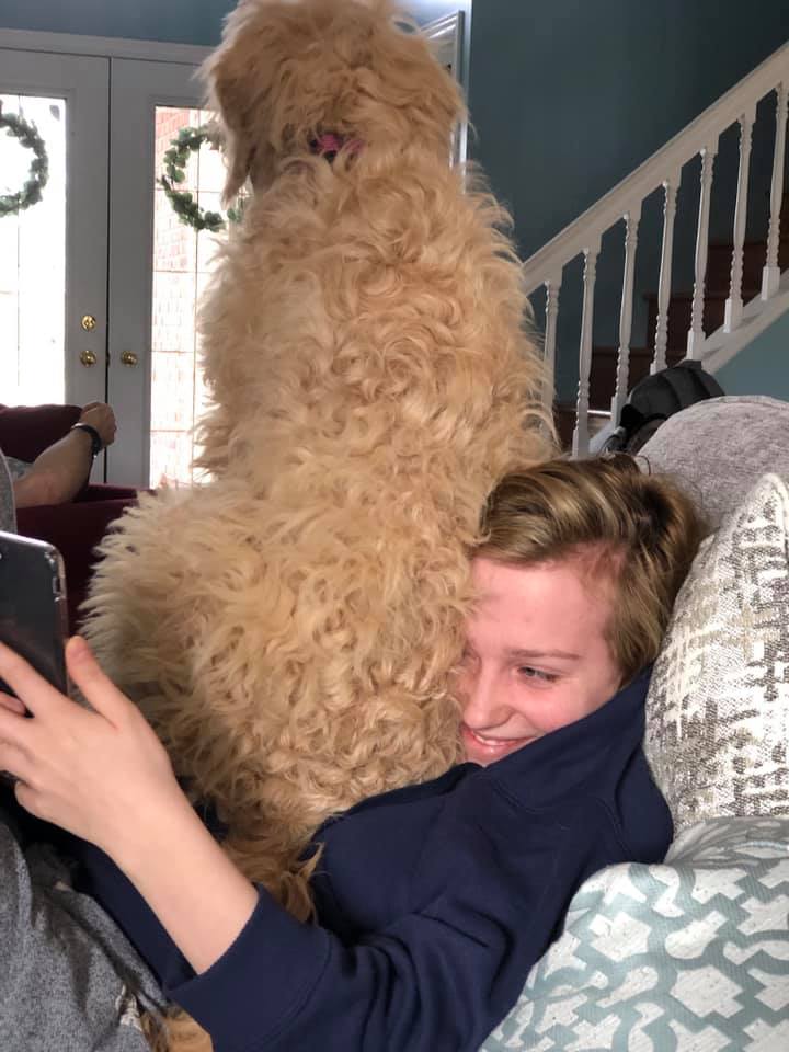 25 Dogs Who Will Literally Sit Anywhere They Want – InspireMore