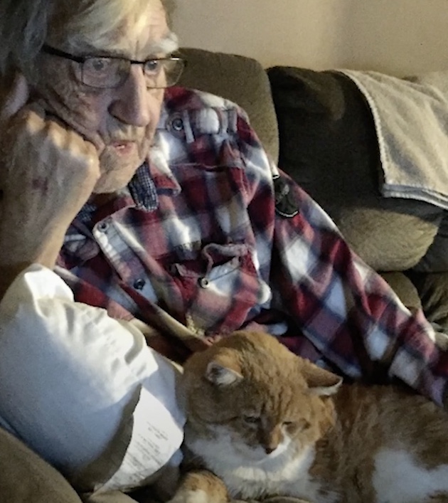 3-Legged Cat Finds Perfect Forever Home After Wandering The Streets For ...