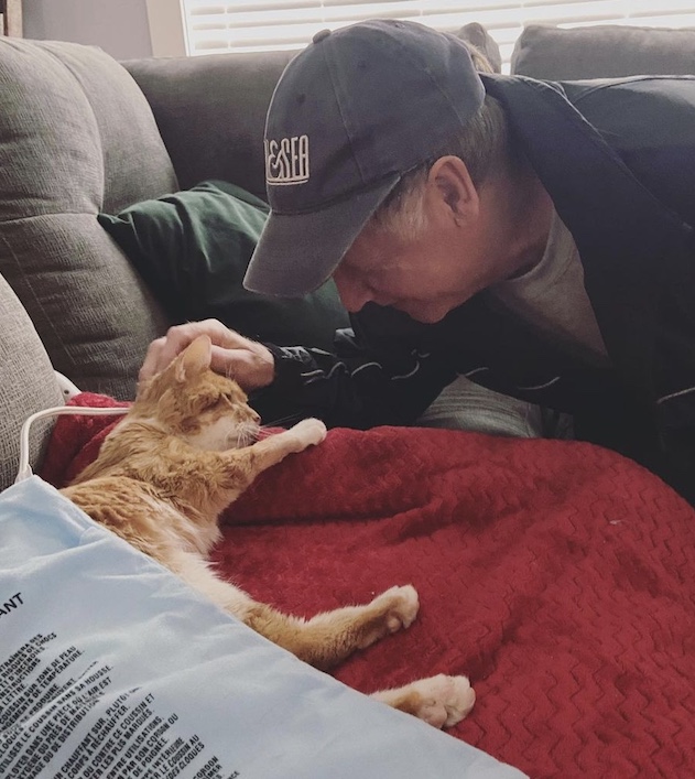 3-Legged Cat Finds Perfect Forever Home After Wandering The Streets For ...