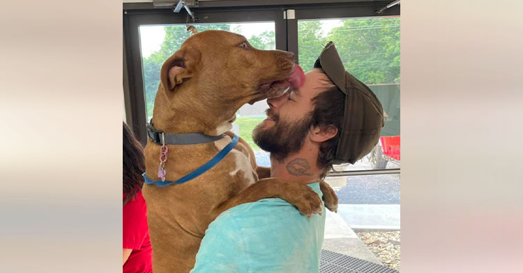 Stolen Dog Reunites With Doting Dad And The Video Will Make Your Day ...