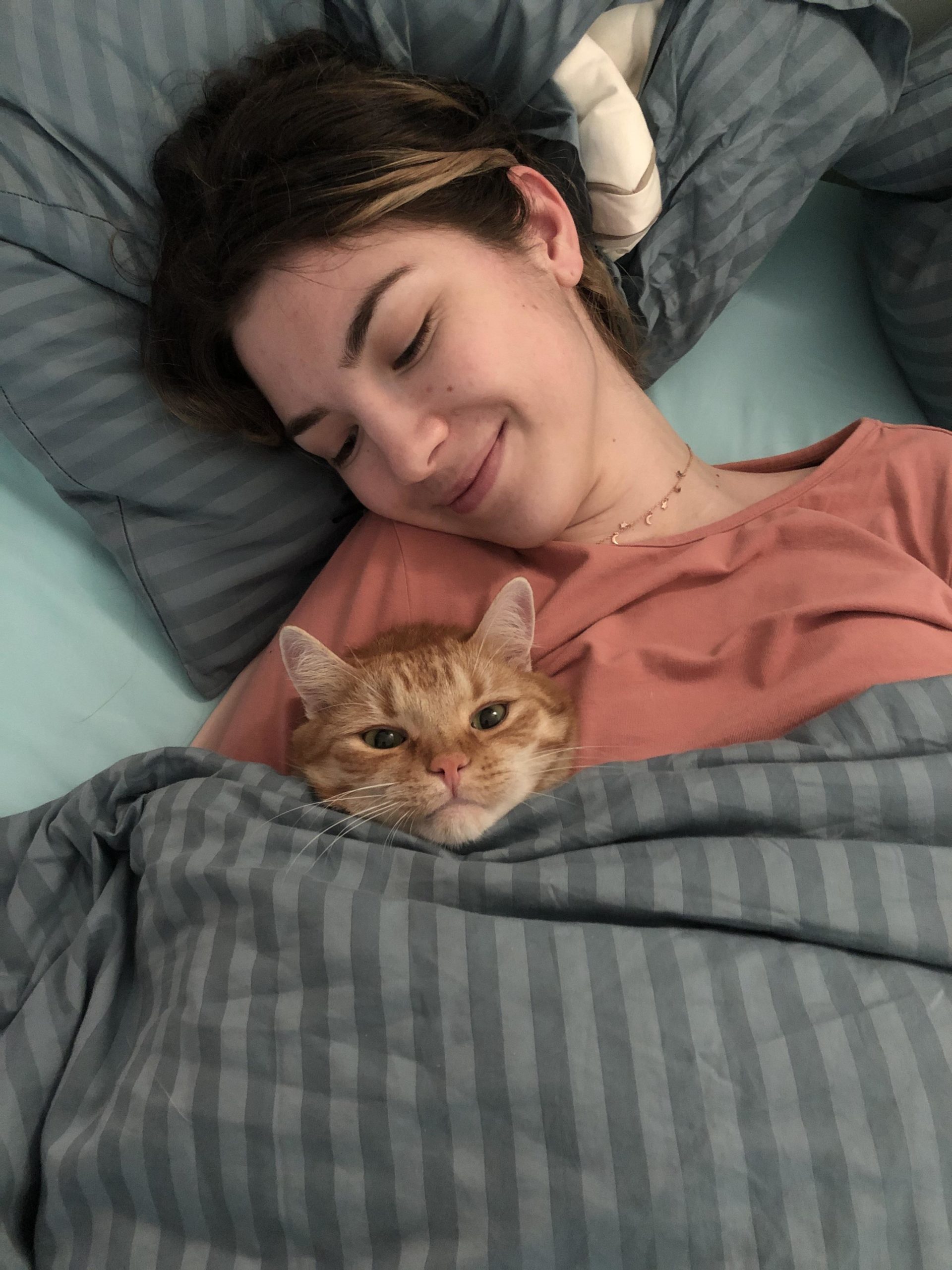 15 Cozy Cats Who Are Sure To Brighten Your Day – InspireMore