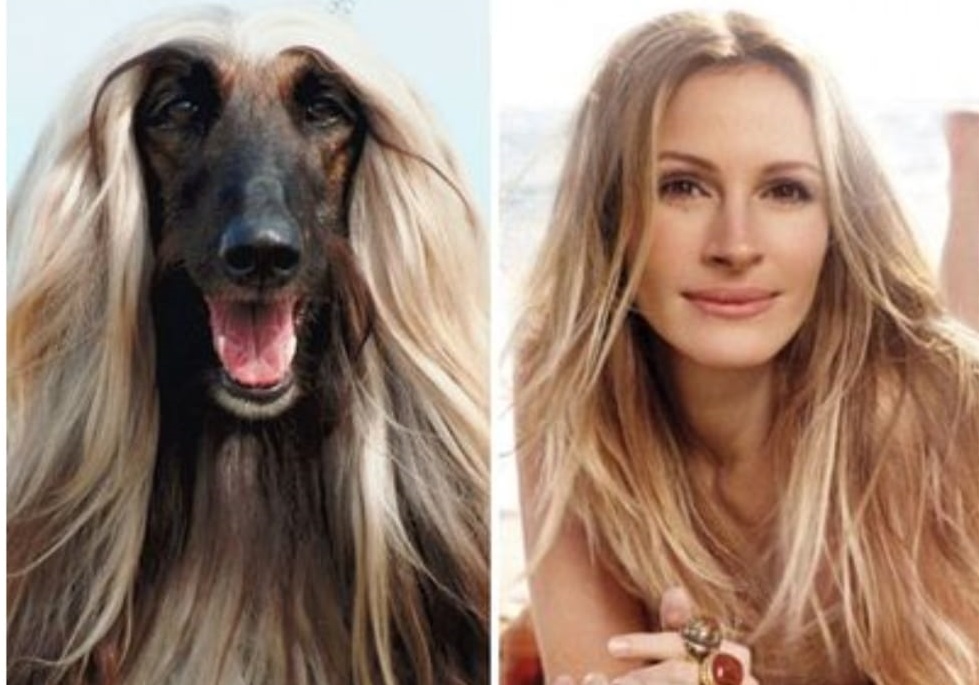 People Who Look Like Animals