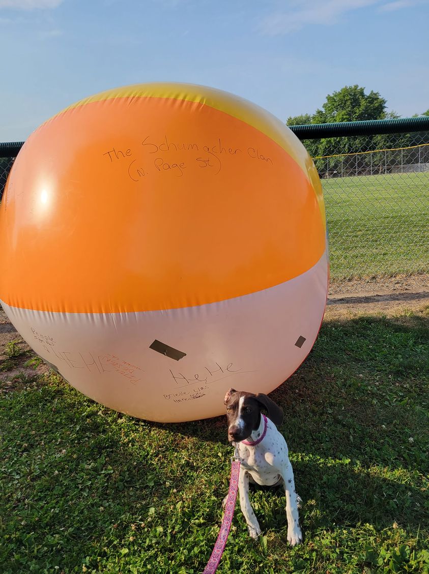 How A Giant Runaway Beach Ball Stole The Hearts Of An Entire City ...