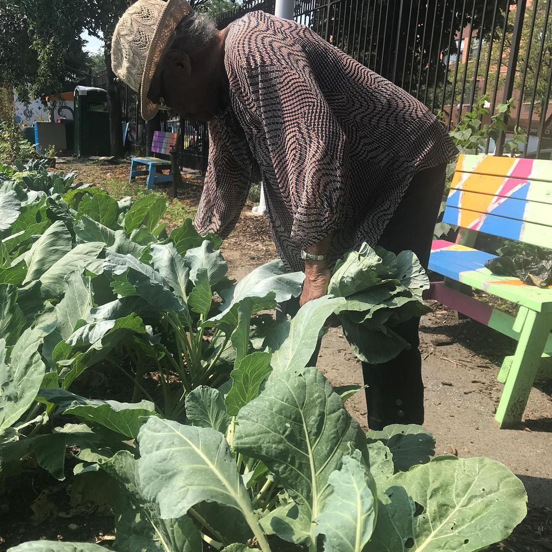 "A Place Of Healing And Growth." Man Turns Vacant City Lot Into ...