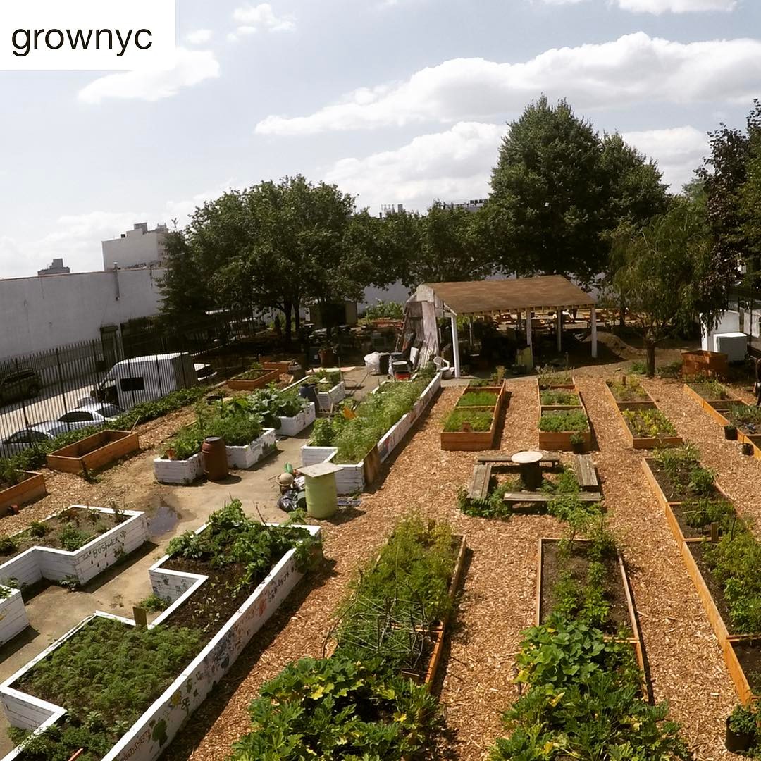 "A Place Of Healing And Growth." Man Turns Vacant City Lot Into ...